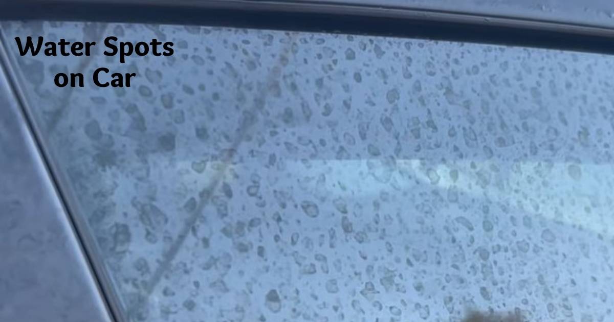 How to Remove Water Spots from Car? Best Step By Step Guide